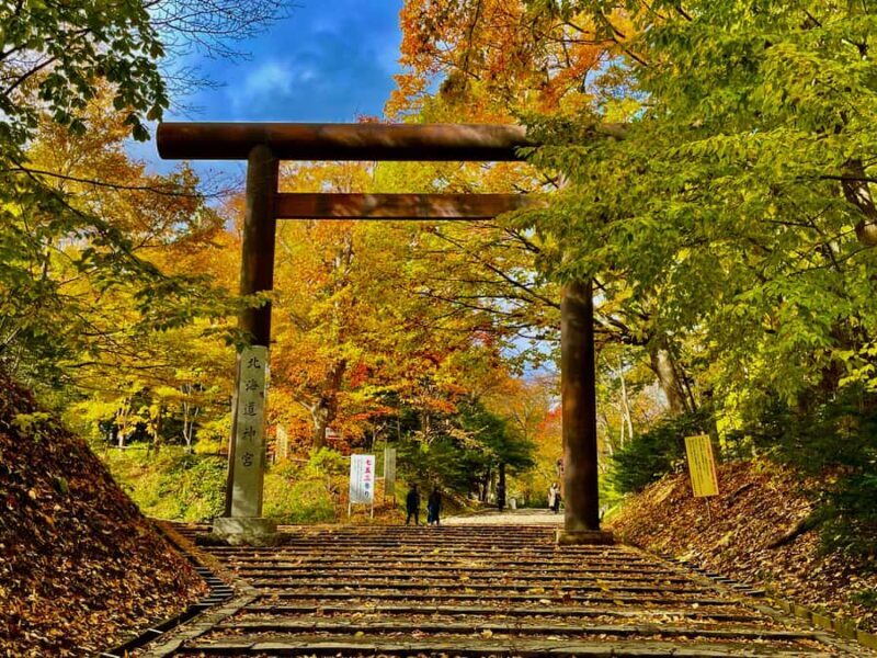 Sapporo: Hokkaido Shrine Tour with Rituals, History & Sweets - Sweets & Serenity at Jingu Chaya