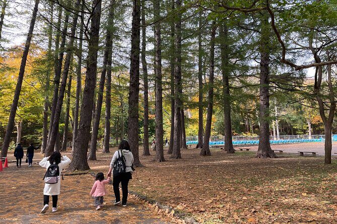 Sapporo: Hokkaido Shrine Tour with Rituals, History & Sweets - Practical Considerations