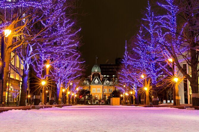 Sapporo: Illuminated Landmarks and TV Tower Night View Tour - A Closer Look at the Tour Itinerary