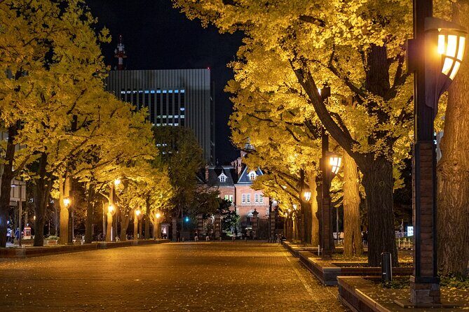 Sapporo: Illuminated Landmarks and TV Tower Night View Tour - Who Will Love This Tour?