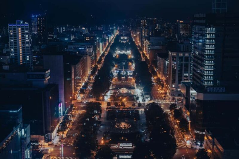 Sapporo: Illuminated Landmarks and TV Tower Night View Tour - Who Should Consider This Tour?