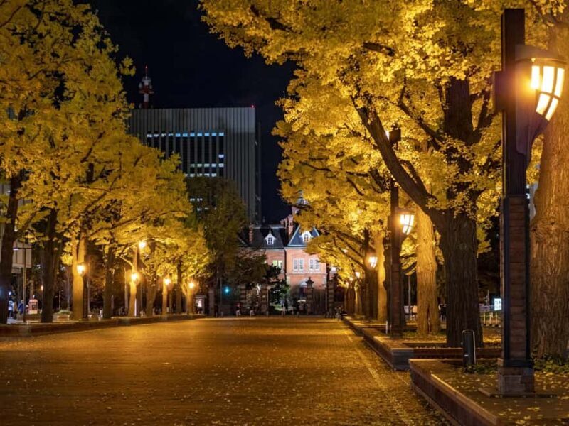 Sapporo: Illuminated Landmarks and TV Tower Night View Tour - Final Thoughts