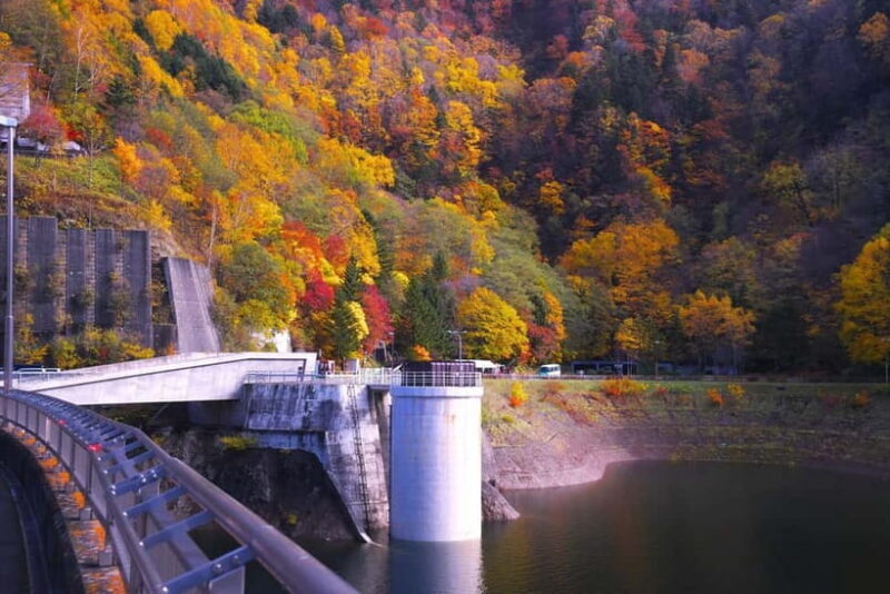 Sapporo in Autumn: Hoheikyo Dam and Hoheikyo Onsen Tour - Key Points