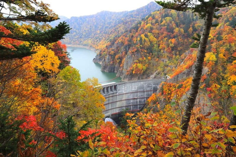 Sapporo in Autumn: Hoheikyo Dam and Hoheikyo Onsen Tour - Perfect for: travelers who value authentic scenery, appreciate easy walks, and want a relaxing soak surrounded by nature.