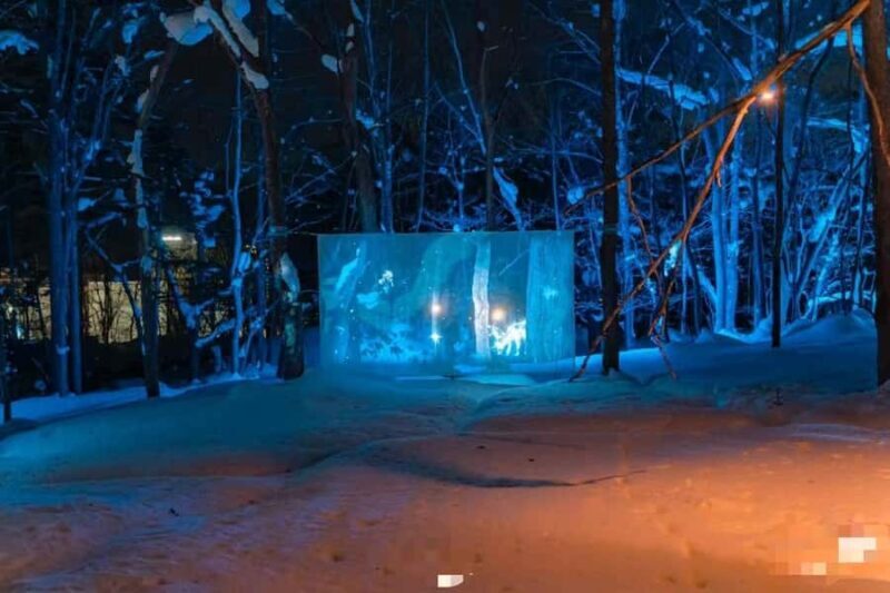 Sapporo: Jozankei Snow Lantern Path Trip-Private group - Authentic Experiences and Traveler Feedback