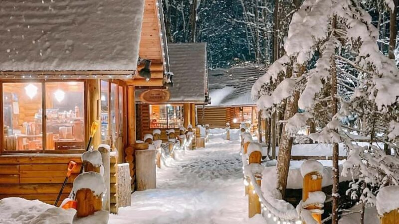 Sapporo Limited: Hokkaido Winter Blue Pond Illumination Tour - What to Expect on Your Blue Pond Illumination Tour