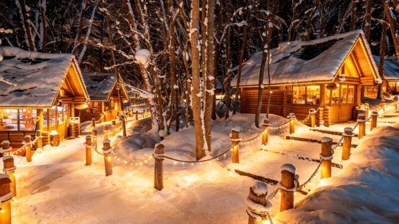 Sapporo Limited: Hokkaido Winter Blue Pond Illumination Tour - Transportation and Practicalities