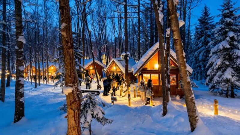 Sapporo Limited: Hokkaido Winter Blue Pond Illumination Tour - Who Should Consider This Tour?