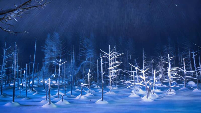 Sapporo Limited: Hokkaido Winter Blue Pond Illumination Tour - Final Thoughts: Is This Tour Worth It?