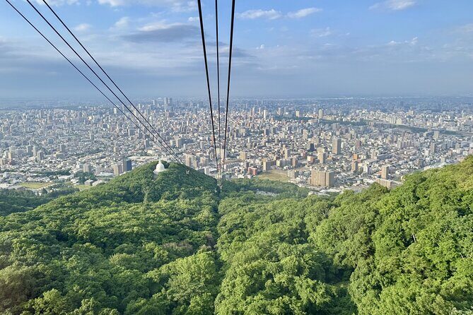 Sapporo: Mt. Moiwa Ropeway Tour Day or Night, 4 Options - Who Will Love This Tour?
