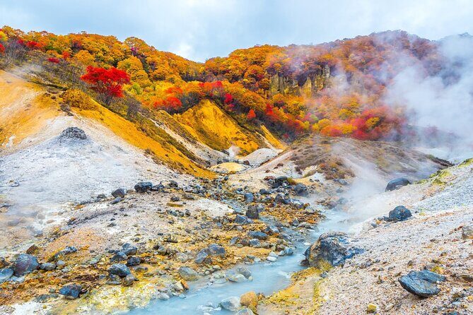 Sapporo: Noboribetsu Hell Valley, Lake Toya & Bear Farm Tour - Exploring Hokkaido’s Winter Wonders: A Detailed Look at the Sapporo Noboribetsu Tour