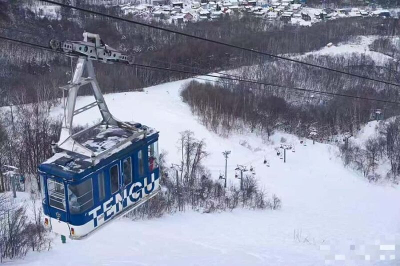 Sapporo: Otaru Day Trip-Mt. Tengu & Aquarium in small group - A Deep Dive into the Experience