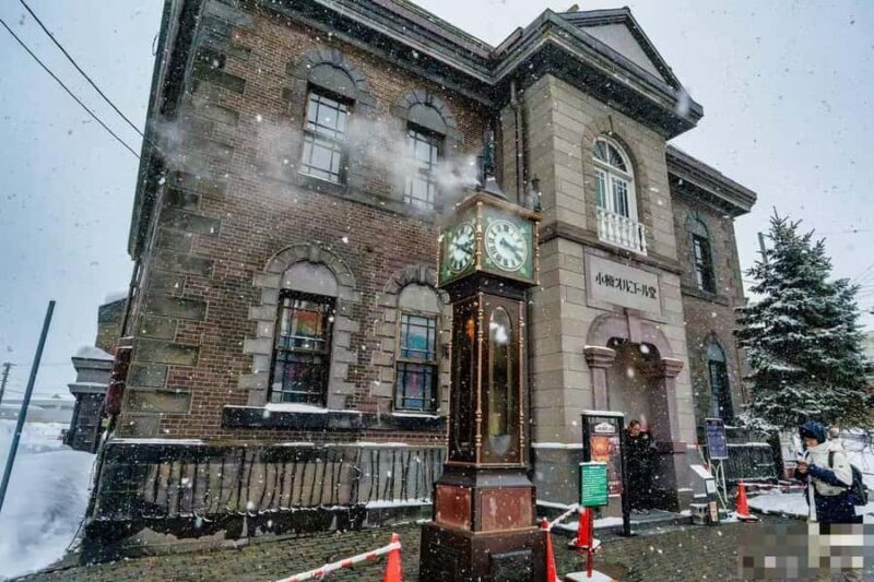 Sapporo: Otaru Day Trip-Mt. Tengu & Aquarium in small group - Who Is This Tour Best For?