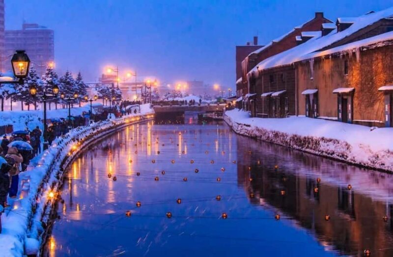 Sapporo: Otaru Snow Light Path Festival Private Day Trip - Who Should Consider This Tour?