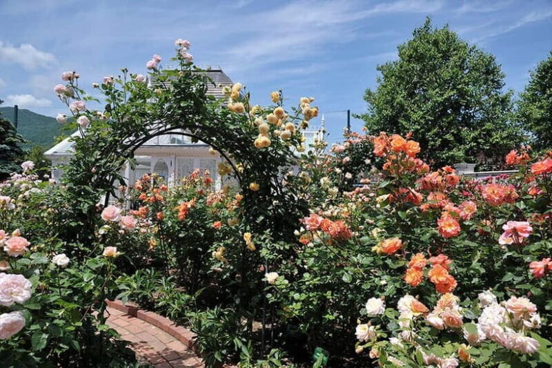 Sapporo: Private Customized Day Tour in Sappro City - Key Points