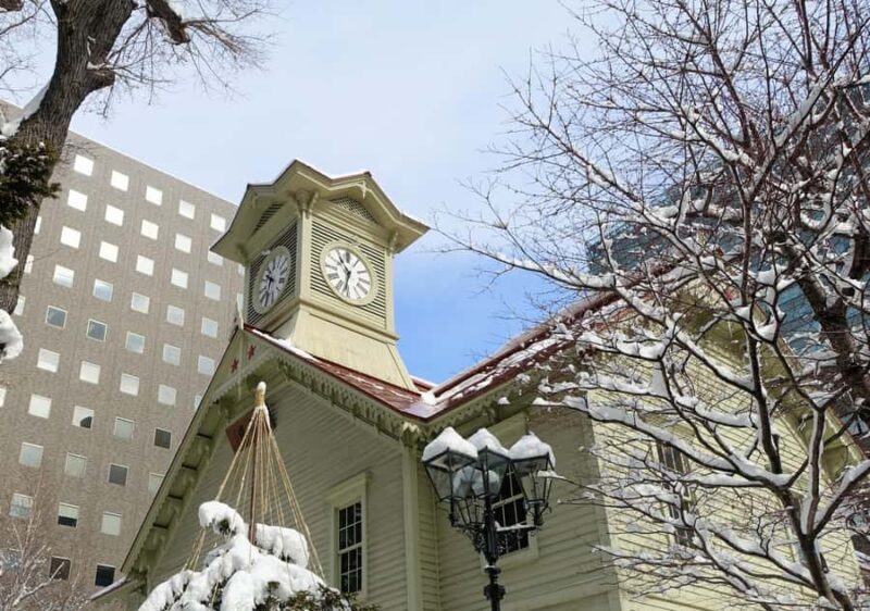 Sapporo: Private Full Day City and Cultural Tour with Guide - Key Points