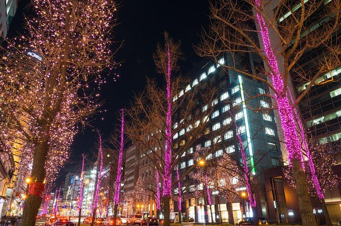 Sapporo Private Walking Christmas Market and Illumination Tour - Who Would Appreciate This Tour?