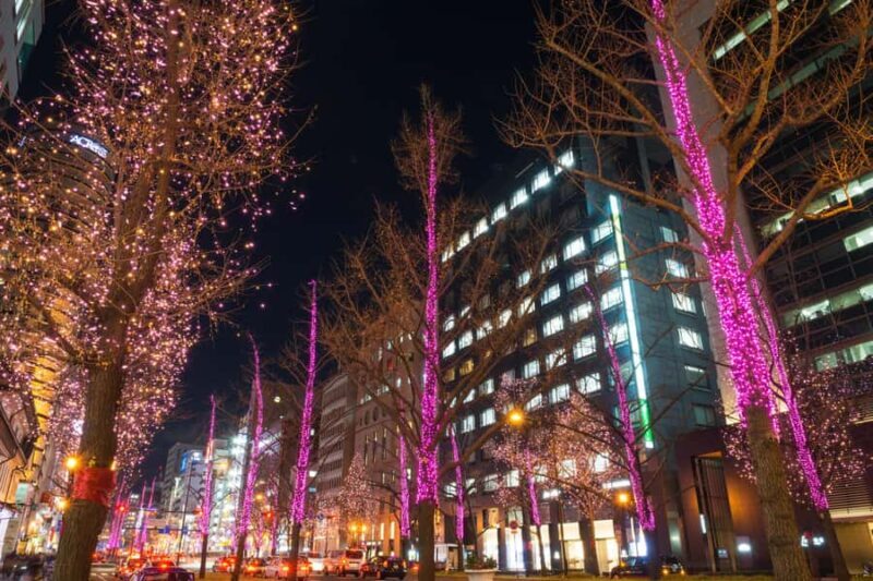 Sapporo Private Walking Christmas Market & Illumination Tour - Introduction: Why This Tour Could Be Your Holiday Highlight in Sapporo