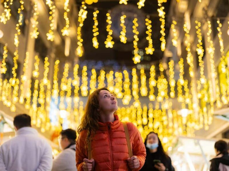 Sapporo Private Walking Christmas Market & Illumination Tour - Who Is This Tour Best For?