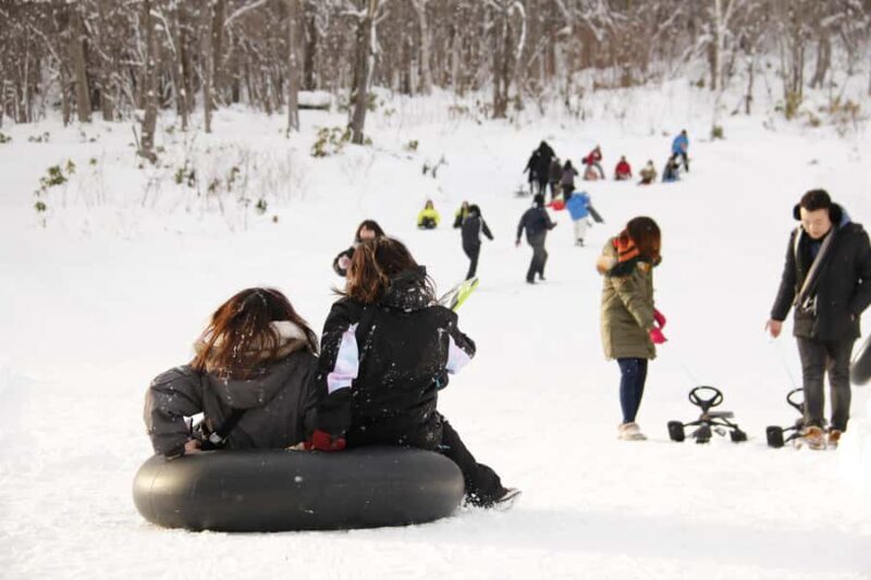 Sapporo: Snow Park, Snowmobile, and BBQ Experience - Key Points