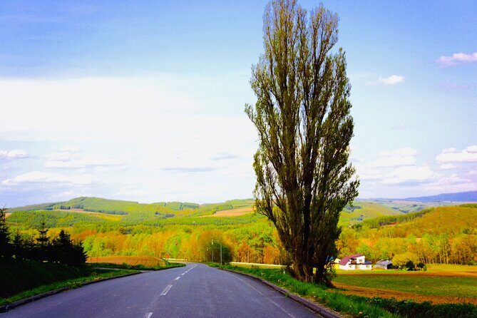 Sapporo to Blue Pond & Shirahige Falls Furano Private Tour - A Detailed Look at the Tour Experience