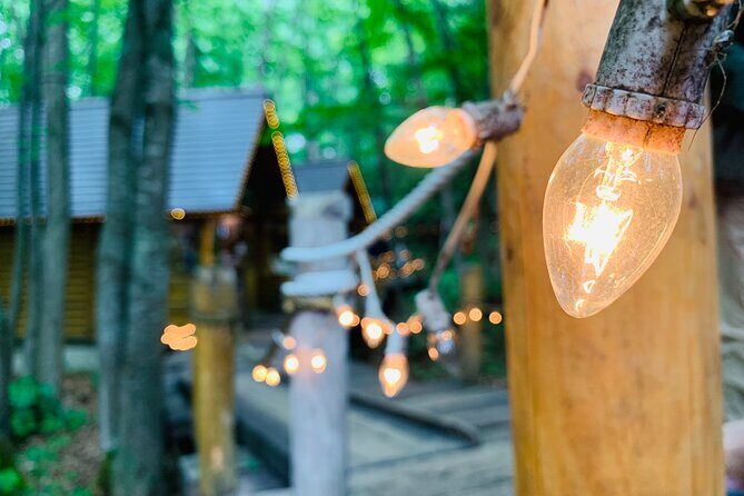 Sapporo to Blue Pond & Shirahige Falls Furano Private Tour - Who Is This Tour Best For?