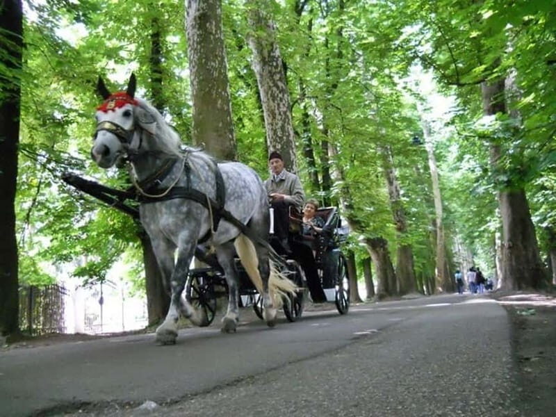 Sarajevo: Vrelo Bosne Nature Park Private Tour - What to Expect from the Vrelo Bosne Private Tour