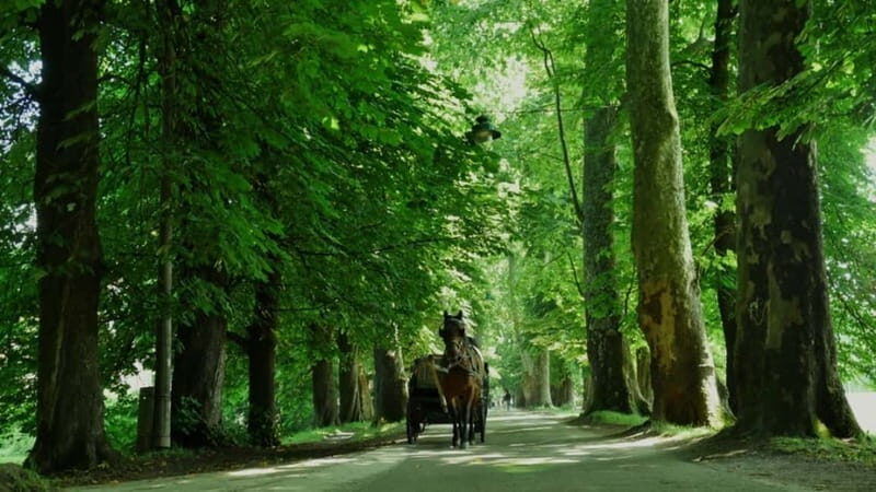Sarajevo: Vrelo Bosne Nature Park Private Tour - Analyzing Value and Overall Impression