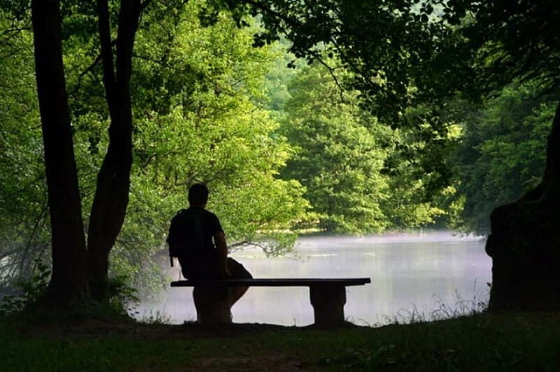 Sarajevo: Vrelo Bosne Nature Park Private Tour - The Sum Up