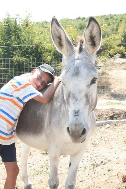 Saranda: Farm Day! Gourmet Lunch, Tour & Cooking Class! - Key Points