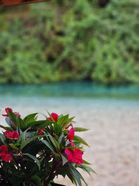 Sarande: Blue Eye Kayak and walking tour & Lekursi Castle - Who’s This Tour Best For?
