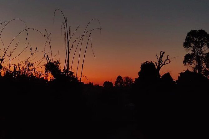 Sarangkot Sunrise Tour in Private Car - What to Expect from the Sarangkot Sunrise Tour