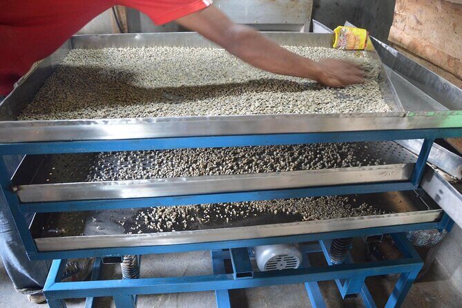 Sarangkot Village Coffee Culture and Authentic Local Life Tour - The Itinerary Breakdown: What You Can Expect