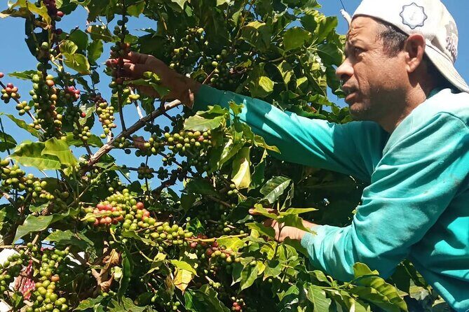 Sarangkot Village Coffee Culture and Authentic Local Life Tour - FAQ