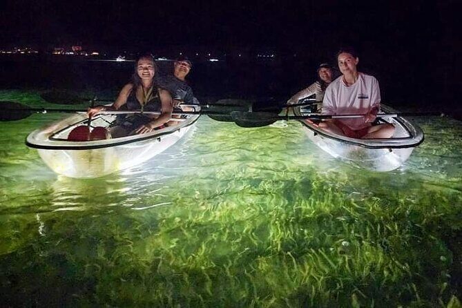 Sarasota - Clear Kayak LED Night Glass Bottom Tour - Introduction