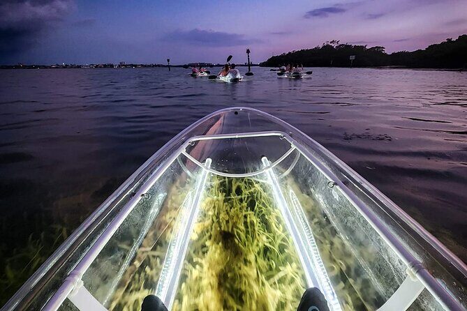 Sarasota - Clear Kayak LED Night Glass Bottom Tour - What to Expect and Tips for a Great Experience