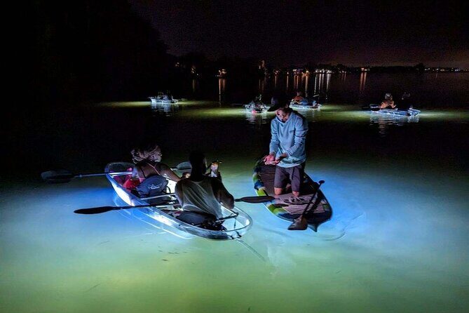 Sarasota - Clear Kayak LED Night Glass Bottom Tour - Authentic Feedback: What Travelers Say