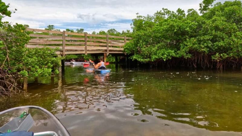 Sarasota: Clear Kayak Mangrove Tunnel & Beach Hopping Tour - Value and Pricing
