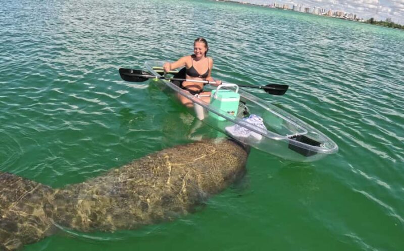 Sarasota: Clear Kayak Mangrove Tunnel Eco Tour - A Thorough Breakdown of Your Sarasota Kayaking Experience