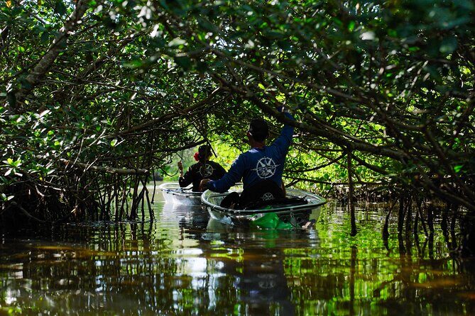 Sarasota Clear Kayak Tour - Deep Dive into the Sarasota Clear Kayak Experience