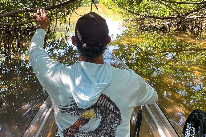Sarasota Clear Kayak Tour - Summary: Why Choose the Sarasota Clear Kayak Tour?