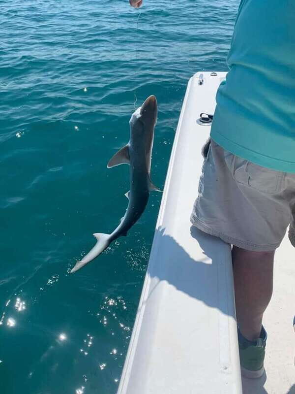 Sarasota Florida: Skyway Fishing Tours - The Sum Up