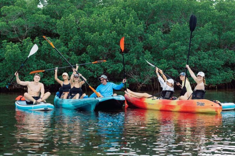 Sarasota: Guided Mangrove Tunnel Kayak Tour Lido Key - The Cost and Its Value
