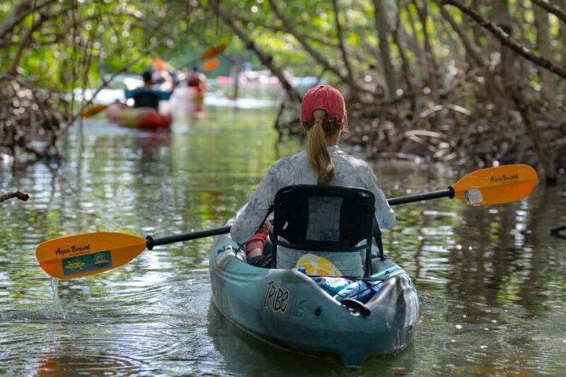 Sarasota: Guided Mangrove Tunnel Kayak Tour Lido Key - Practical Tips for Participants