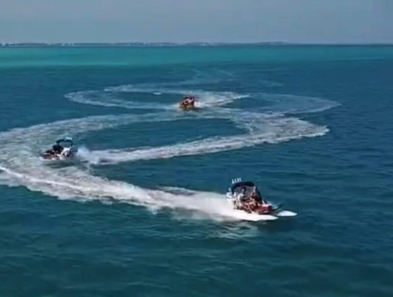 Sarasota: Island Adventures & Catamaran Speedboat Tour - Key Points