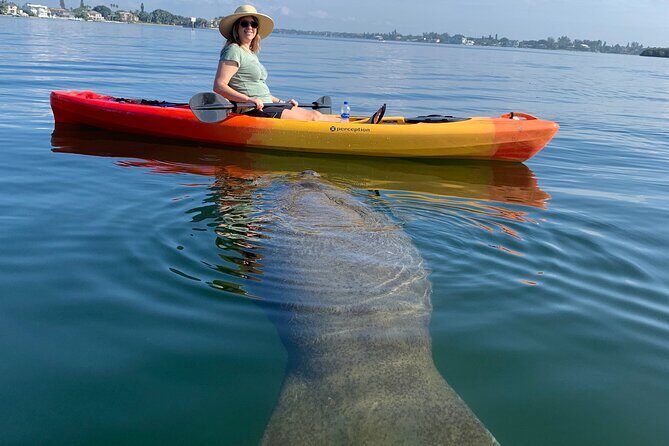 Sarasota Mangrove Tunnel Guided Kayak Adventure - Sarasota Mangrove Tunnel Guided Kayak Adventure: An Authentic Waterway Experience