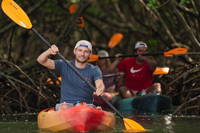 Sarasota Mangrove Tunnel Guided Kayak Adventure - Key Points