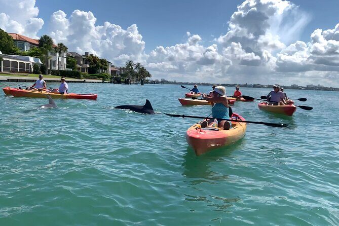 Sarasota Mangrove Tunnel Guided Kayak Adventure - Practical Details: Planning Your Kayaking Adventure