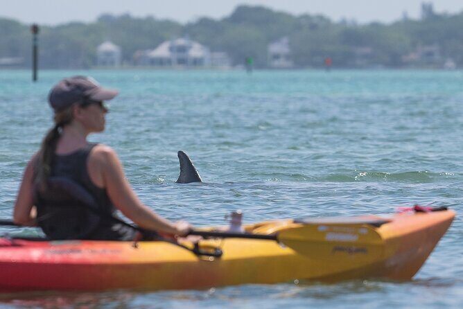 Sarasota Mangrove Tunnel Guided Kayak Adventure - Frequently Asked Questions