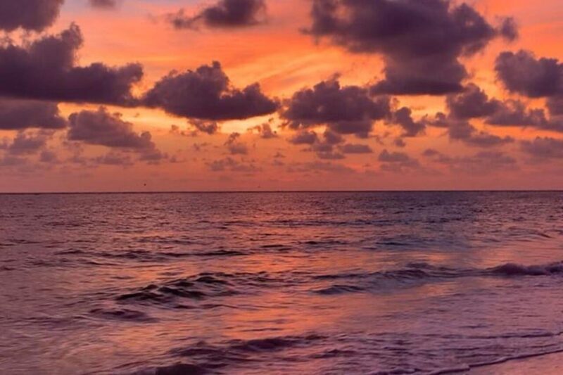 Sarasota: Siesta Key Electric Bike Sunset Tour - What You’ll Love